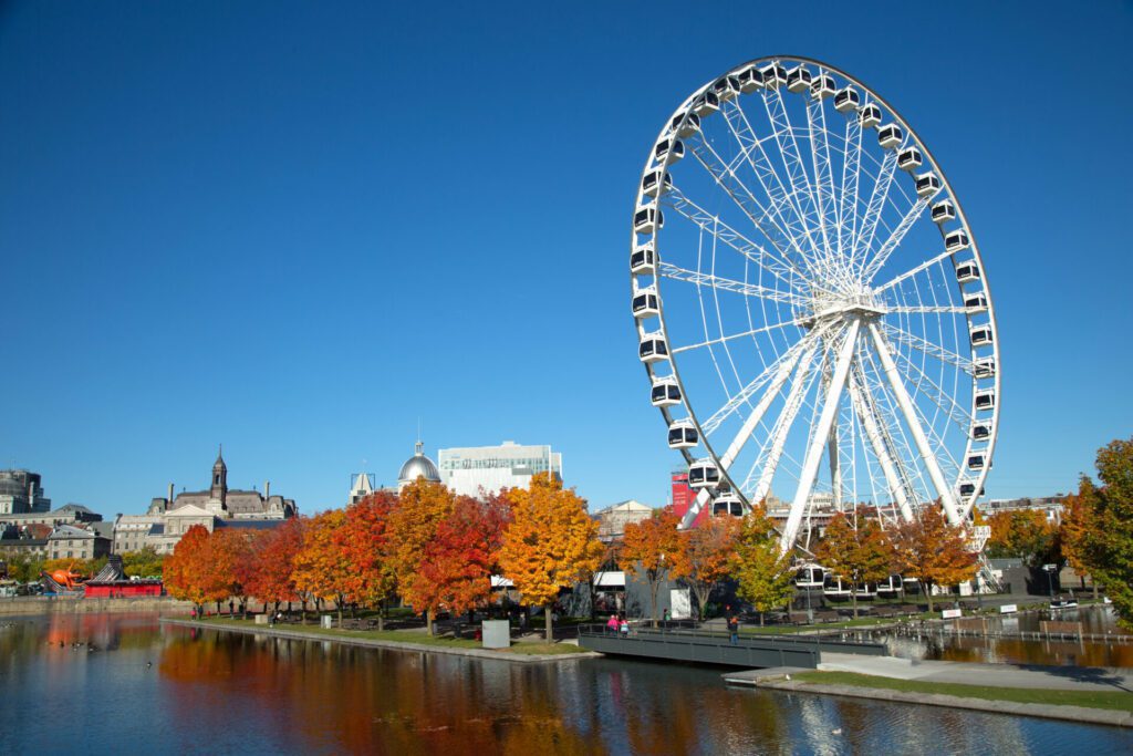 LIDD Rendezvous 2025 | LIDD